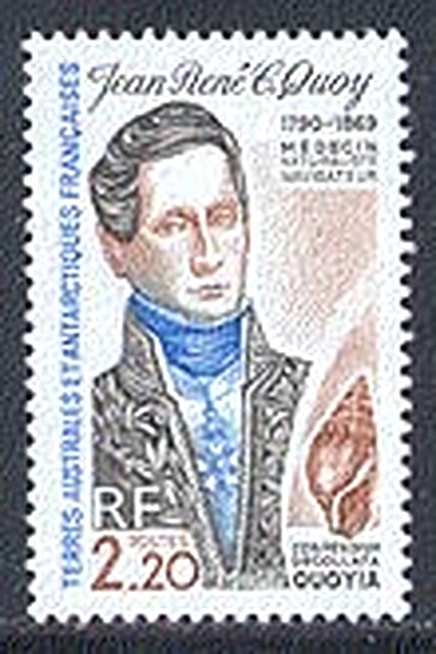 Jean-René Constant Quoy | Shellers From the Past and Present